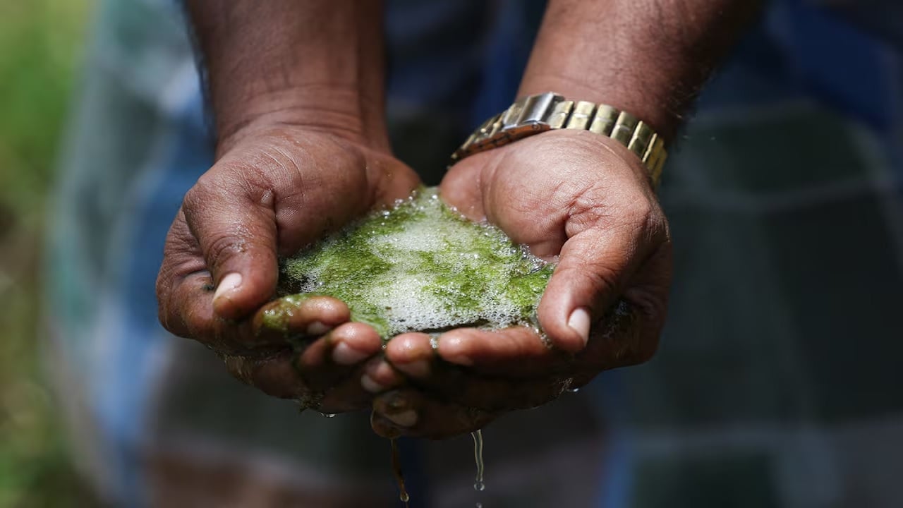 Apple Supplier Factory in India Under Fire Again Over Contaminated ...