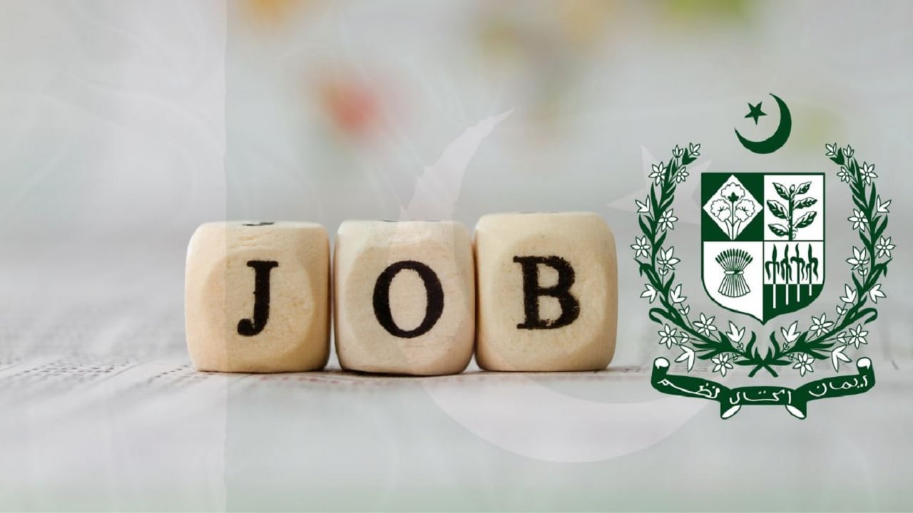 Ministry of IT Announces Consultant Jobs Under DEEP Project - Here's ...